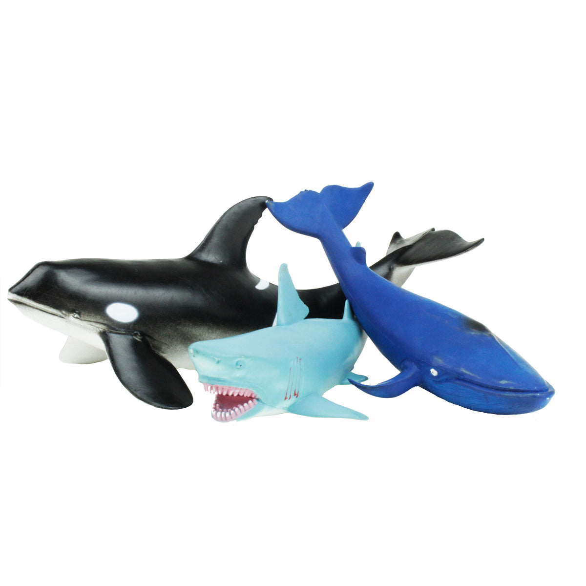 Rainbow Color Fish – Boley Store